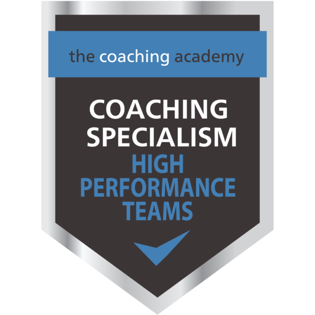 SJ’s Roadmap to Team Excellence: A Blueprint for Creating Your High ...